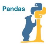 【Python】Pandasのcount関数の使い方｜条件を指定してカウント | Pyhoo（パイフー）